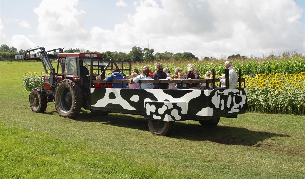 Court Farm Country Park - Visit Weston-super-Mare